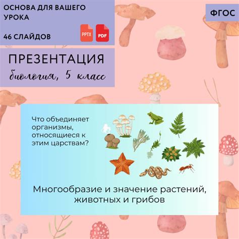 Презентация Многообразие и значение растений животных и грибов урок биологии 5 класс