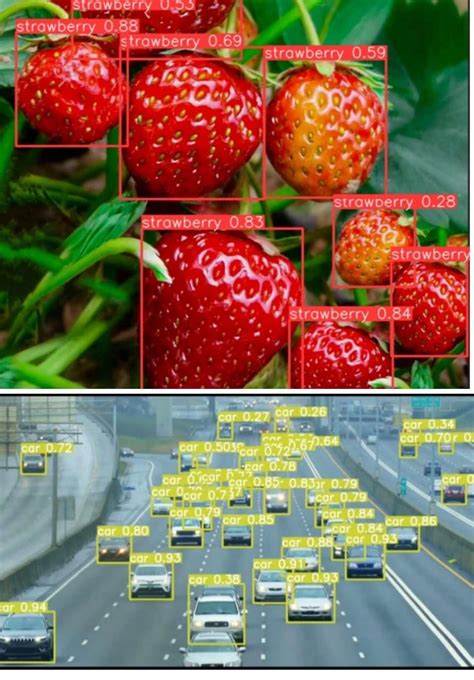 Developed Insect Detection Model At Aimers Society Hema Sri Annavarapu Posted On The Topic