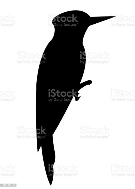 검은 실루엣 딱따구리 새입니다 플랫 만화 캐릭터 디자인입니다 검은 새 아이콘입니다 귀여운 딱따구리 템플릿입니다 벡터 일러스트
