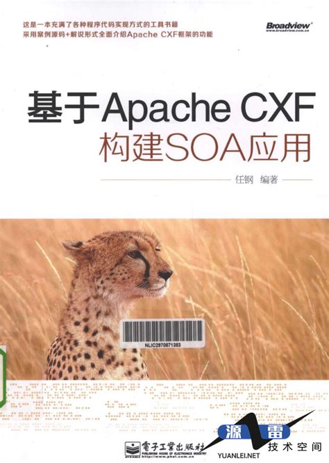 Java Cxf 搭soa基于apache Cxf构建soa应用 Pdf源雷技术空间 Csdn博客 Java Cxf 搭soa基于apache Cxf构建soa应用 Pdf源雷技术空间 Csdn博客