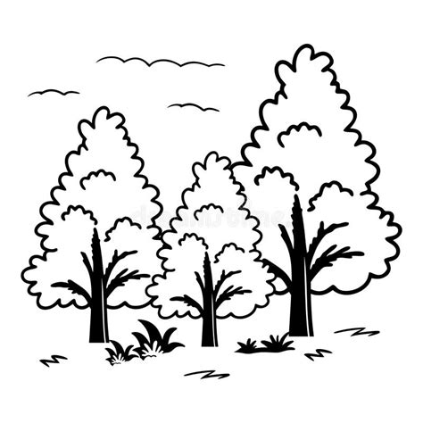 Forest Outline Dense Trees Nature Illustration Stock Illustration Illustration Of Drawing