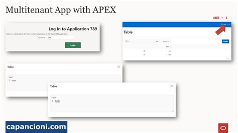 multitenant app with apex