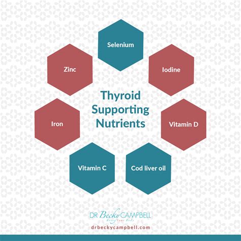 Your Thyroid And Mast Cells The Connection Dr Becky Campbell