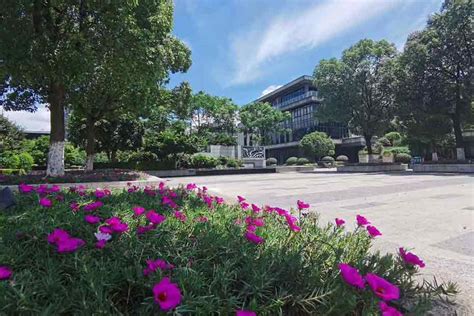 我们的故事 深圳市凯之成智能装备有限公司户外机器人光伏机器人运维机器人光伏清洗机器人光伏铺装机器人