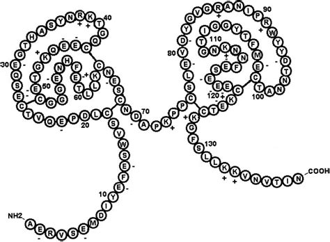 Predicted Secondary Folding Structure For Ixolaris Disulfide Bonds Are