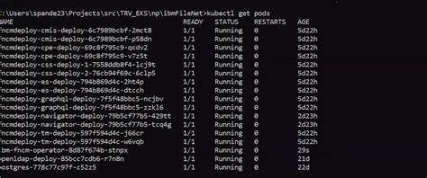 Bug Ibm Fncm Secret Is Incorrect · Issue 10 · Ibm Client Engineering