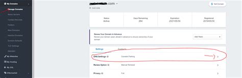 Should I Buy A Domain Through Shopify Or Godaddy Pros Cons