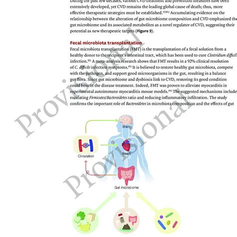 Modulation Gut Microbiome Approaches In Cardiovascular Disease