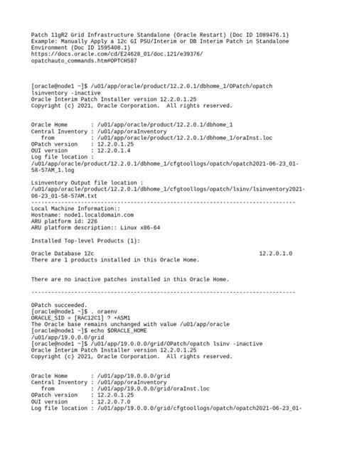Inactive And Ojvm Patch Information Pdf