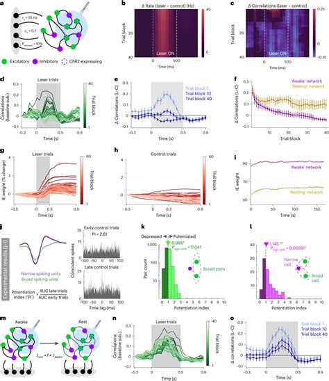Model Simulations With Ie Plasticity Replicate Experimental