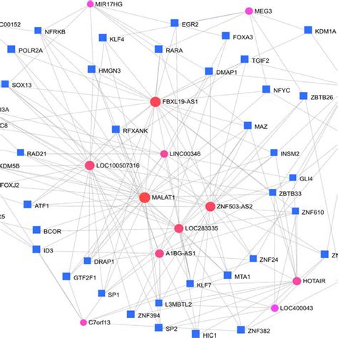 Analysis Of The Interaction Network Between Transcription Factors Blue Download Scientific