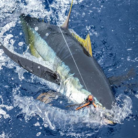 Offshore Trolling Lures Fathom Offshore