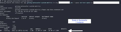 Scale Your Applications Using Custom Metrics Featu Sap Community
