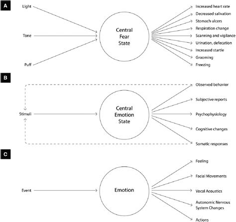 Figure 6 From The Theory Of Constructed Emotion An Active Inference