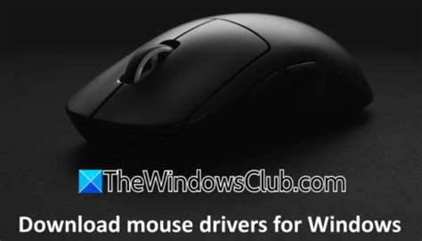 Computer Freezes But Mouse Still Moves In Windows 11