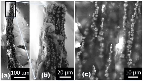 Shape Memory Effect In Micro Sized Shape Memory Polymer Composite Chains
