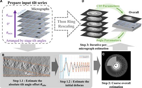 tilt series based joint ctf estimation for cryo electron tomography structure