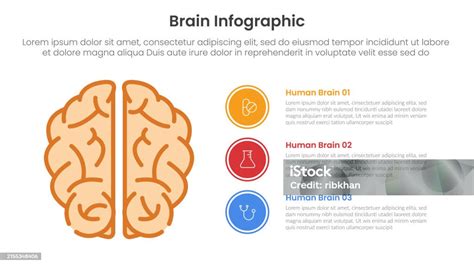 인간의 뇌 인포 그래픽 템플릿 슬라이드 프리젠 테이션을위한 3 점 목록 정보가 포함 된 평면도 및 원형 스택 설명이있는 배너 건강한 생활방식에 대한 스톡 벡터 아트 및 기타