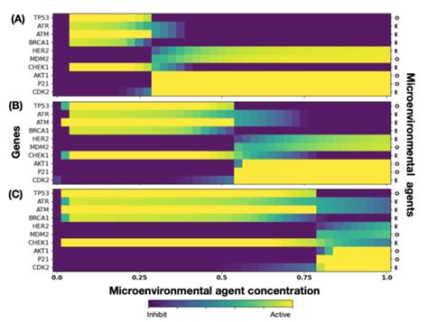 Shows The Spatial Distribution Of Mutations For A 2d Panel A And For Download Scientific