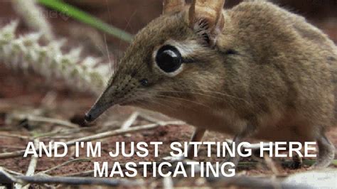 I Overhear These Two Chicks Having A Really Sexual Conversation