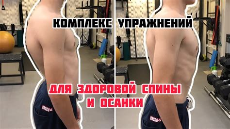 ЗДОРОВАЯ СПИНА КОМПЛЕКС УПРАЖНЕНИЙ ДЛЯ ДОМА Youtube