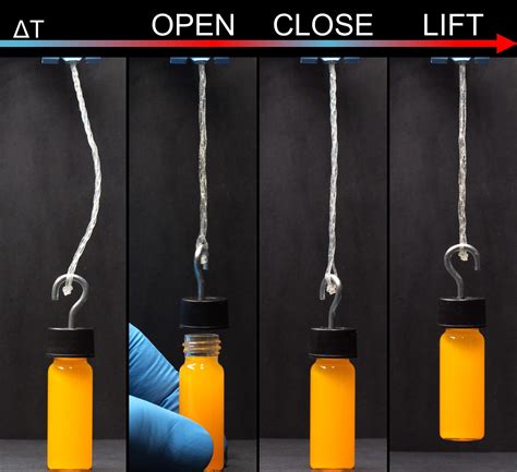 Thermoplastic Liquid Crystal Elastomer Soft Actuators