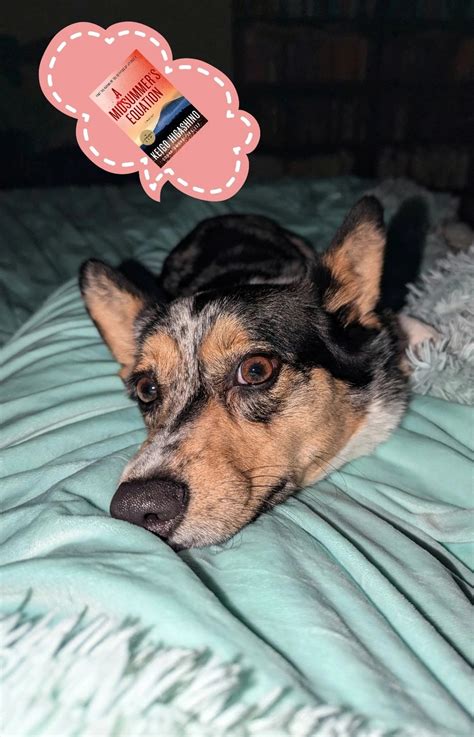 A Midsummers Equation Album On Imgur