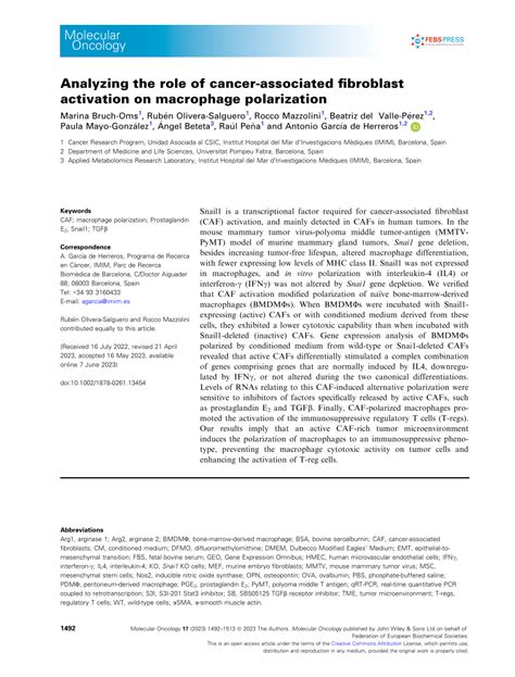 Pdf Analyzing The Role Of Cancer Associated Fibroblast Activation On Macrophage Polarization