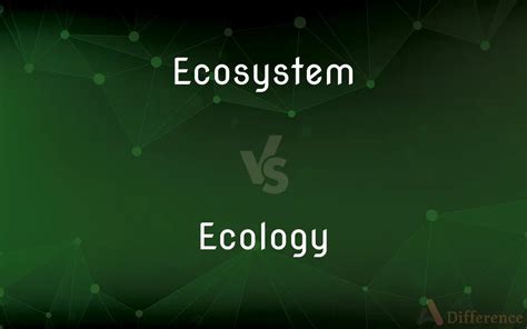 Ecosystem Vs Ecology Whats The Difference