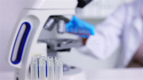 Microscope Sample And Hands Of Scientist With Analysis Test In A Lab