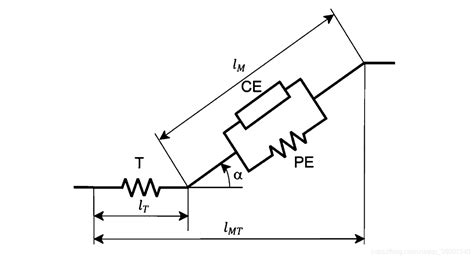 基于肌肉骨骼模型的预测仿真萤 火的博客 Csdn博客