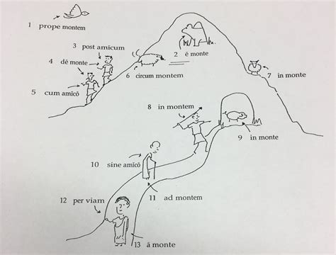 Prepositional Phrases Diagram Quizlet