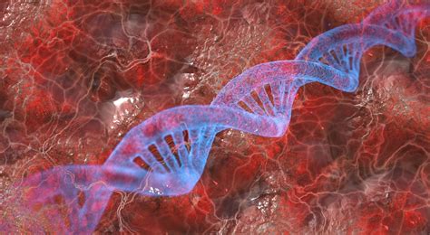 Identifying Dna Variants In A Better Way