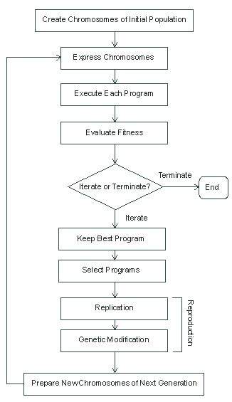 gene expression programming