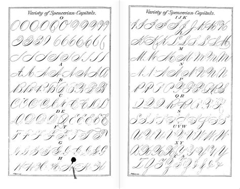 Spencerian Script Alphabet