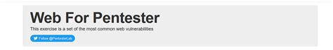 Code Injection Command Injection Ldap Attacks Xml Attacks— Web For