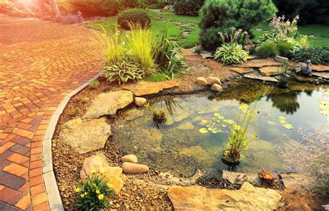 Net Zero Landscape Design Sustainable Homes Design