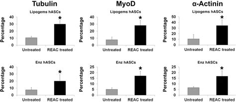 Cell Lineage Marker Expression In Lipogems Or Enzymatically Derived Download Scientific Diagram