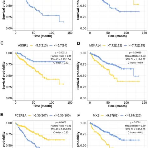 Genetic Landscape Analysis Of Mutation And Copy Number Variation Cnv Download Scientific