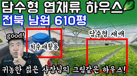 젊은 농부 사장님의 연구가 담긴 담수형 수경재배 하우스 비닐하우스 엽채류 수경재배 Youtube