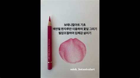 보태니컬아트 기초 색연필 하나로 꽃잎그리기 파버카스텔 폴리크로모스 Youtube