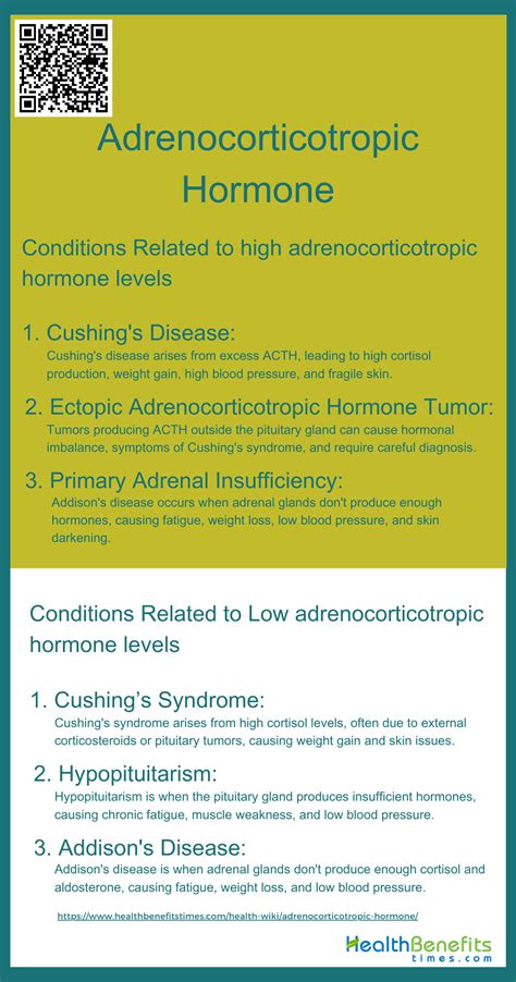 What Is Adrenocorticotropic Hormone Acth Health Benefits