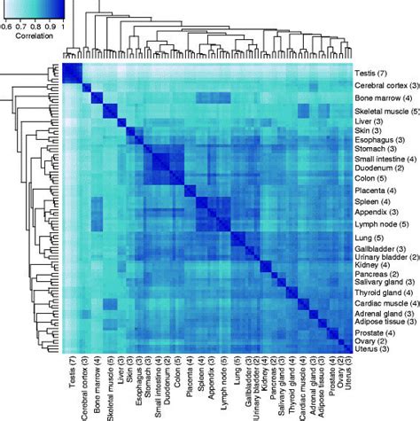 Hierarchical Clustering Of Human Tissues The Relationship Between The Download Scientific