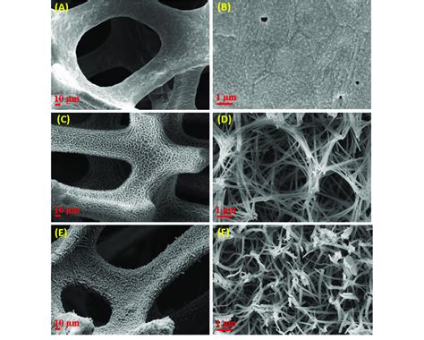 Fe Sem Images At Different Magnifications Of A And B Bare 3d Cu Foam