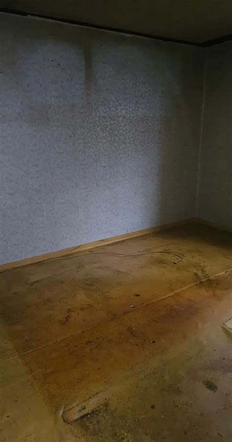 친절하고 작업도 빠르게 꼼꼼히 잘해주십니다 비용도 합리적으로 유동적으로 조율도 해주셨구요 대박나세요 숨고 숨은고수