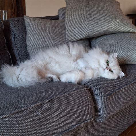 Ioana Tanase On Linkedin Im Learning Python And Ive Just Set Up My