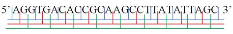 Difference Between Codon And Anticodon Definition Features Comparison
