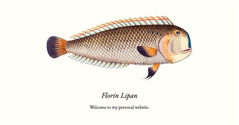 The Smallest Docker Image To Serve Static Websites