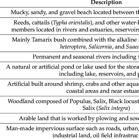 The Classification Key Used In The Present Study Download Table The Classification Key Used In The Present Study Download Table