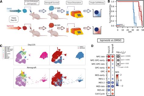 Multiplexed Single Cell Lineage Tracing Of Mitotic Kinesin Inhibitor Resistance In Glioblastoma
